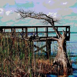 Cyndi Lenz Wall Art